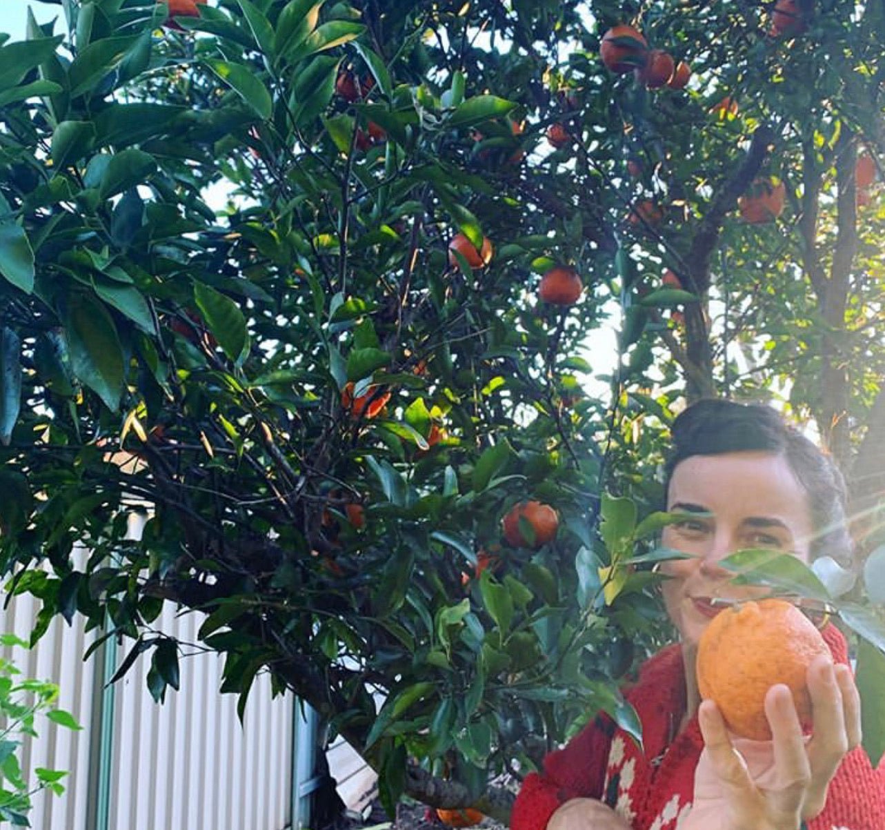 Limited Edition: Mandarin & Pine – Pyewackets Traditional